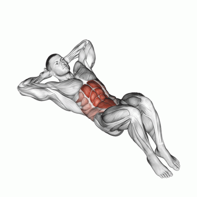 Exercices d'abdos à faire en salle - Gym City